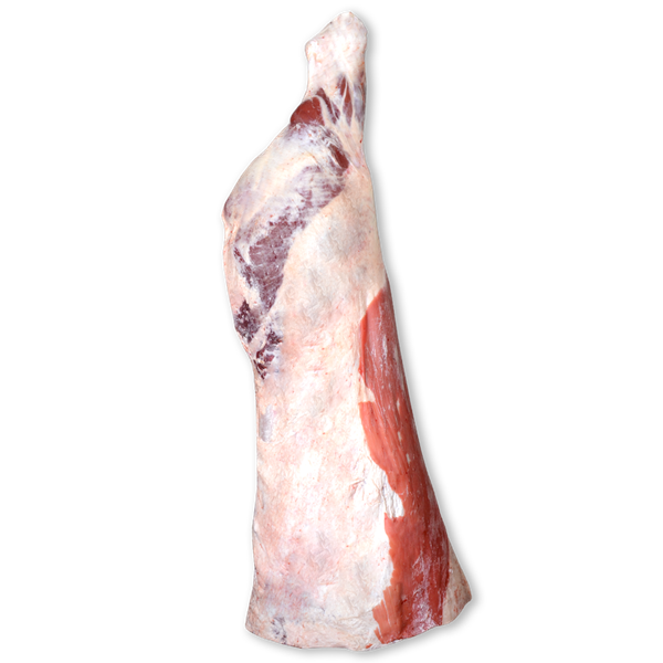 BON AREA FOODSERVICE HIP 2025